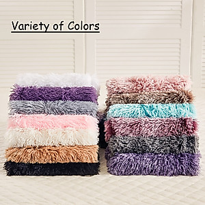 LIFEREVO 2 Pack Cream Faux Fur Pillow Shams,Shaggy Plush Home Decorative Luxury Series Super Soft Furry Pillow Case with Zipper Closure for Home Sofa Couch,Standard (Light Beige,20"x26")