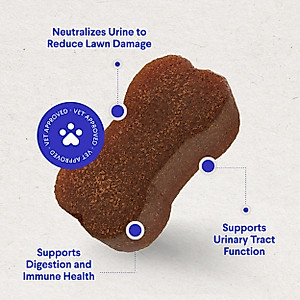 Wonder Paws Grass Hero, Grass Burn Spot Chews – Neutralizes Urine to Prevent Yellow Lawn Spots – Dog Pee Lawn Saver, Spot Treatment & Urinary Health – Cranberry & Methionine – 60 Soft Chews