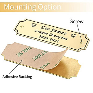 3"W x 1"H, Custom Elegant Engraved Plate, Personalized Memorial Name Plate for Trophy, Frames, Urn, Brass or Stainless Steel Laser Engraved Plaque with Adhesive Backing or Screws (Silver, Gold)
