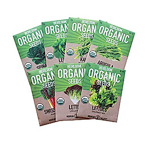 7 Varieties of Leafy Power Green Organic Seeds, Non-GMO Seeds for Planting, Heirloom Seeds - Spinach Seeds, Arugula, Kale, Lolla Rossa Lettuce Seeds, Buttercrunch, Gourmet Mix Lettuce, Swiss Chard