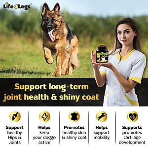 Life4Legs - Hip and Joint Chews for Dogs Plus Skin and Coat Supplement - Dog Joint Pain Relief Treats - Glucosamine, Chondroitin, MSM, Hemp Oil, Turmeric, Omega 3 for Dogs, Mobility Bites Dog Health