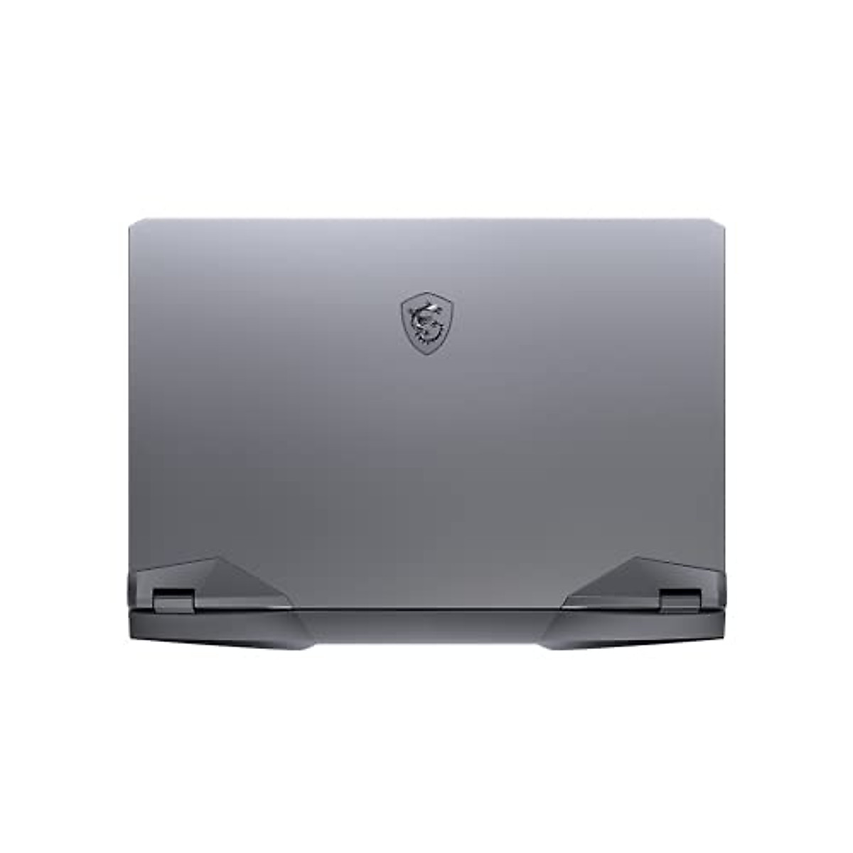 MSI GE76 Raider 17.3" 360Hz FHD Display, Intel Core i7-11800H, NVIDIA GeForce RTX3080, 32GB, 1TB NVMe SSD, Win10,Titanium Blue (11UH-245)