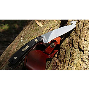 Old Timer 158OT Guthook Skinner 7.3in High Carbon S.S. Full Tang Fixed Blade Knife with 3.5in Blade and Sawcut Handle for Outdoor, Hunting and Camping