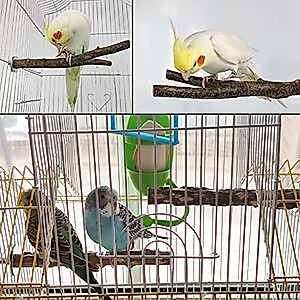 kathson Wood Bird Swing Toys Natural Parrot Perch Wooden Stand Platform Parakeet Paw Grinding Stick Cage Accessories Exercise Toy for Cockatiels Budgies Lovebirds Conures