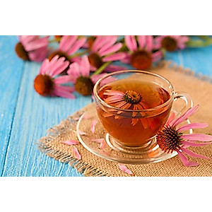 Sow Right Seeds - Herbal Tea Collection - Lemon Balm, Chamomile, Peppermint, Lavender, Echinacea Herb Seed for Planting; Non-GMO Heirloom Seed, Instructions to Plant Indoor or Outdoor; Gardening Gift