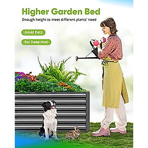 Quictent Galvanized Raised Garden Bed 8x4x2 Ft Tall Garden Bed Extra Height 22.04" Outdoor Heightened Planter Box for Deep Root Vegetables Herbs 4 Tomato Cages Weed Barrier Included Upgraded Wing Nuts