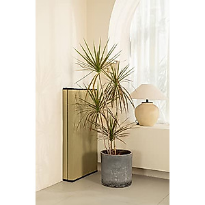 MustMat Tatami Mat Twin XL Japanese Tatami Floor Mattress Rush Grass Tatami Bed with Storage Bag 39 x80 x1.4 in (Blue)