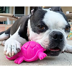 Cycle Dog Small Fuchsia 3-Play Turtle Dog Toy with Ecolast Recycled Material - Tough & Sustainable Chew Toy for Dogs & Puppies/Treat Dispenser/Floats Above Water/Indestructible for Aggressive Chewers