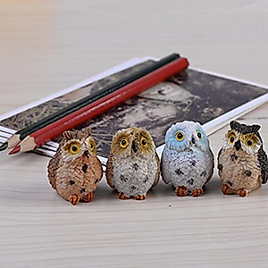 Miraclekoo 8 Pcs Mini Resin Owls Miniature Figurines Fairy Garden Owl Ornament for Dollhouse, Plant Pot, Micro Landscape, Bonsai Craft Decor