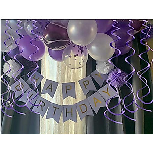 Guzon Purple Happy Birthday Bunting Banner,10 Inch Tissue Paper Pom Poms Flowers,Perfect Party Decoration Supplies for Birthday