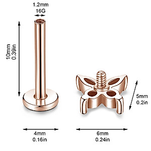 JINSAWW 16G Butterfly Internally Threaded CZ Labret Stud Stainless Steel Ear Cartilage Helix Tragus Conch Flat back Piercing Stud Body Jewelery