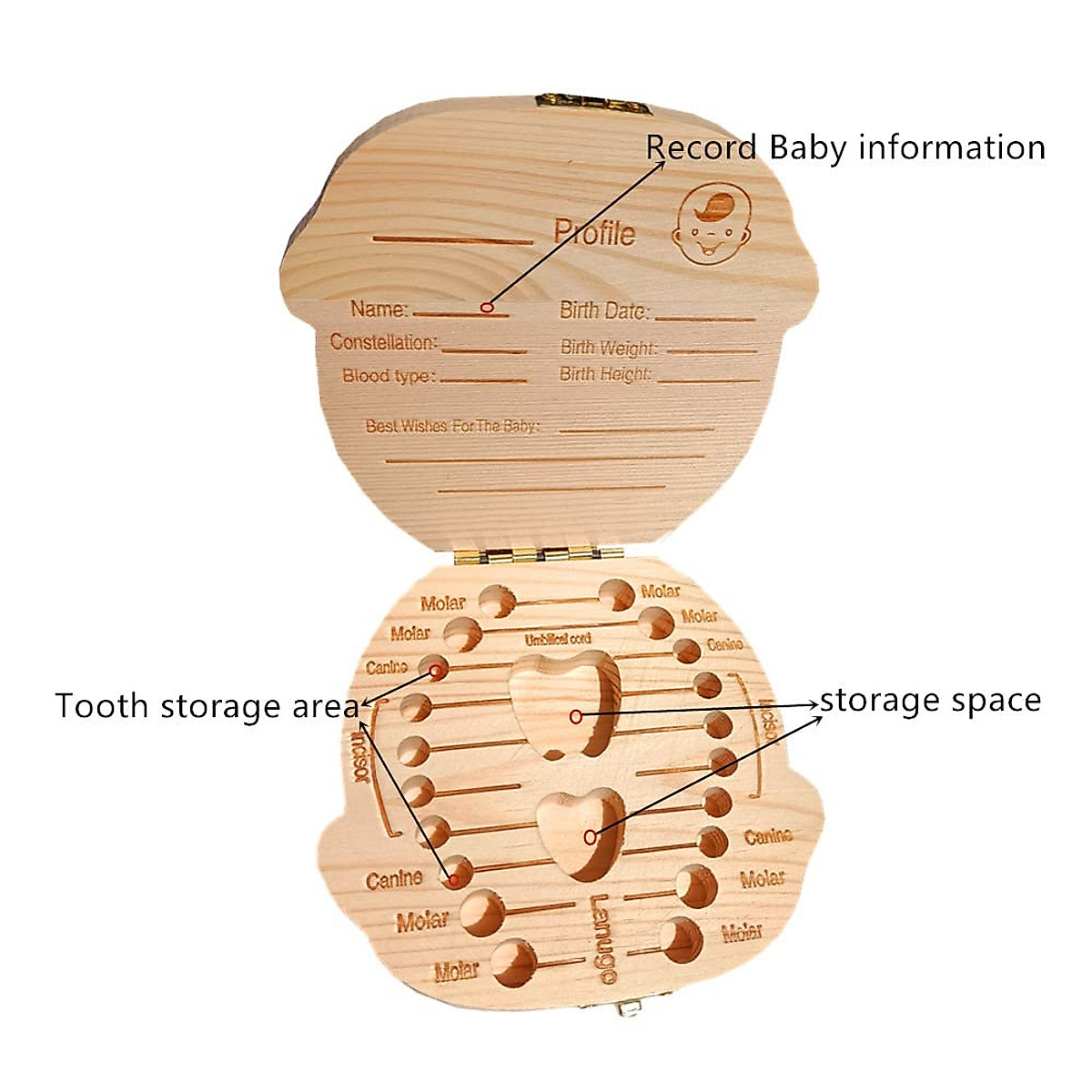 Baby Tooth Keepsake Box,Tooth Fairy Box,Wooden Tooth Box ,Baby Keepsake Storage Box,Tooth Saver,Tooth Holder for Kids Teeth,Tooth Boxes for Lost Teeth for Kids,Newborn Baby Birthday and Shower Gift