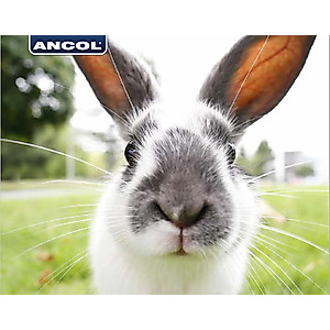 Ancol Small Animal Double Sided Comb