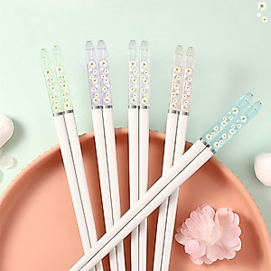 5 Pairs Chopsticks-Reusable Chopsticks Dishwasher Safe, 9.6 inch/24.3cm Matte Non-Slip Fiberglass Chop Sticks, Chinese/Japanese Korean Chop Stick Gift, Daisy Green