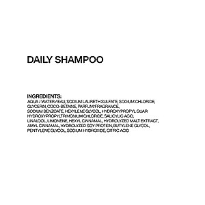 Redken Brews Daily Shampoo For Men, Lightweight Cleanser For All Hair Types, 33.8 Ounce