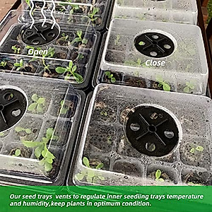 Anothera 30-Set Seed Starter Tray and Garden Propagator Kit (12 Cells Per Tray,Total 360 Cells) with Adjustable Humidity Dome and Base Greenhouse Grow Trays for Seeds Growing Starting（Dark Green）