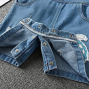 Lvyinli Baby Boy Clothes Set Infant Boy's Long Sleeve Romper+Dinosaur Denim Overalls Toddler Boys Summer Clothes Outfits (Blue Turle, 6-12 Months)