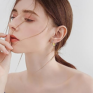 Duck Earrings Sterling Silver Duck Hoop Earrings Cute Animal Duck Jewelry Gifts for Women Girls