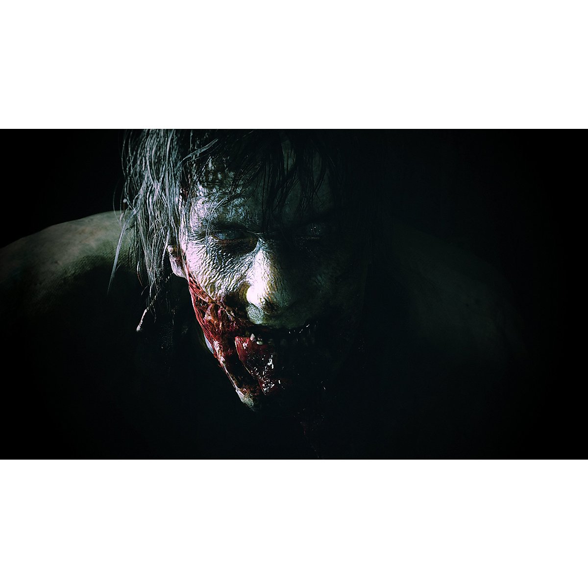 BIOHAZARD RE:2 Z Version COLLECTOR'S EDITION 【予約特典】特別武器「サムライエッジ・クリスモデル」「サムライエッジ・ジルモデル」が入手できるプロダクトコード 同梱 - PS4