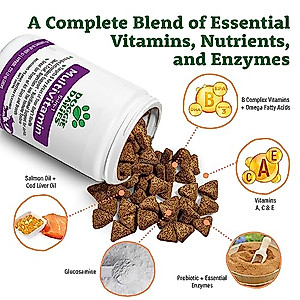 Doggie Dailies 5 in 1 Multivitamin for Dogs, 225 Soft Chews, Dog Multivitamin for Skin and Coat Health, Joint Health, Improved Digestion, Antioxidants, Support a Healthy Immune System