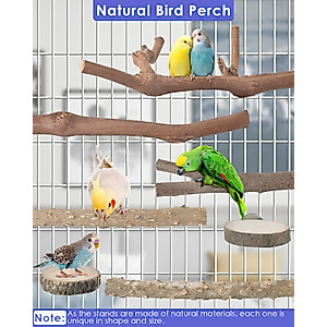 Bissap Bird Perch Stand 7PCS, Natural Grape Wood Pole Standing Parrot Cage Branch Paw Grinding Fork Parakeet Platform Hammock for Conures Budgies Finches Cockatiels Small Birds Exercise Training
