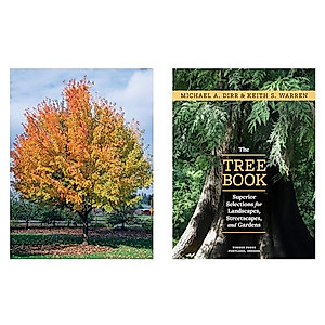 The Tree Book: Superior Selections for Landscapes, Streetscapes, and Gardens