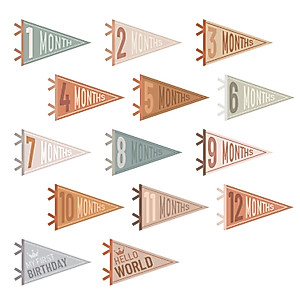 VitalCozy 14 Pcs Baby Felt Pennant Milestone Signs Monthly Milestone Banner Flags Pennant Triangle Banner Age Milestone Flag Signs for Boy Girl Newborn Birthday Party Decor(Assorted Colors)