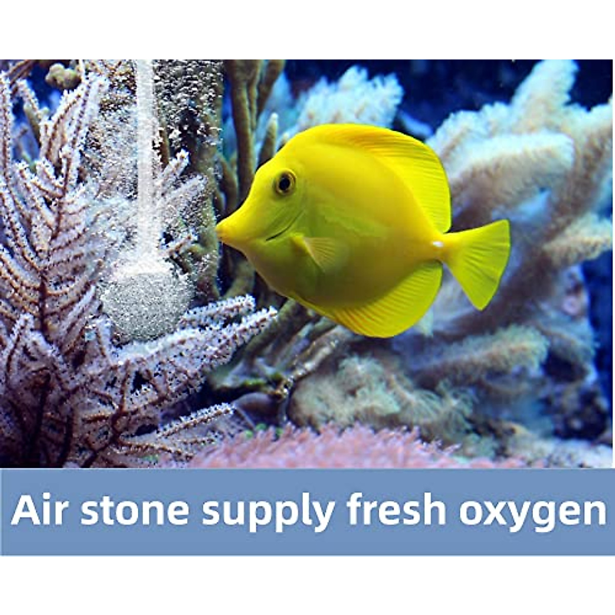 Solar Aerator Air Pump/Oxygenator for Fish Tank and Pond, 2.5w, No Noise Design with Oxygen Pipe and 3 Air Bubble Stones, Oxygen Supply for Various Tanks/Pond/Aquarium/Gardening Water Circulation