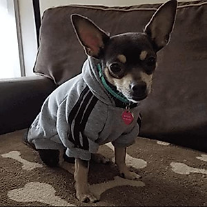 Pet Cat Dog Clothes Hoodie Tracksuit Jacket Winter Sweater Cute Outfit 2-Legs Style Grey for Puppy Small to Medium Dogs Boy and Girl (Medium)