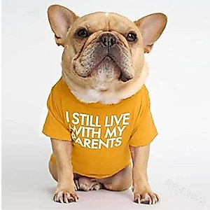 I Still Live with My Parents Printed Dog T Shirt, Funny Pet Dog Vest Clothes, Breathable Cat Shirts (Medium)
