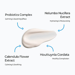 SELF BEAUTY Ultra Lightweight Mineral Facial Sunscreen SPF 50 1.69 fl.oz - Broad Spectrum PA++++ Korean Skincare No-White Cast Non-Greasy Hydrating Face with Hyaluronic Acid Sheer Tinted 50ml