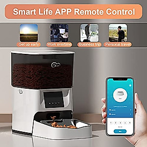 DOEL Automatic Cat Feeder Timed and Quantitative Feeding with Stainless Steel Bowl APP Remote Control with Dual Power Dry Food Pet Feeder 4L