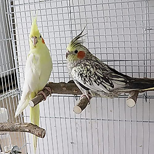 2 Pack Bird Ladder, Bird Perch Stand, Natural Prickly Ash Wood Bird Parrot Cage Accessories, Bird Standing Climbing Chewing Toys for Parakeet Cockatiel Rats Hamsters