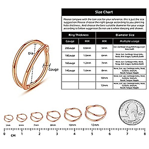 WBRWP Nose Ring Lip Rings Septum-Clicker: Double Black Nose Ring Hoops 16G 8mm 316L Surgical Steel Sleeper Earring Helix Rook Conch Cartilage Daith Tragus Earrings Nose Piercing Jewelry