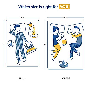 Sealy 8 Inch Queen Size Foam Bed In a Box, Multiple Layers of Foam Help Support Sleep at Night, Firm Feel and CertiPur-US Certified, King