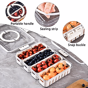 1PC Fruit Storage Containers for Fridge Keep Fresh - Divided Serving Tray with Lid and Handle - Portable Picnic Parties Snackle Box Veggie Tray - Berry Candy Food Snack Organizer Travel (1PC-M)