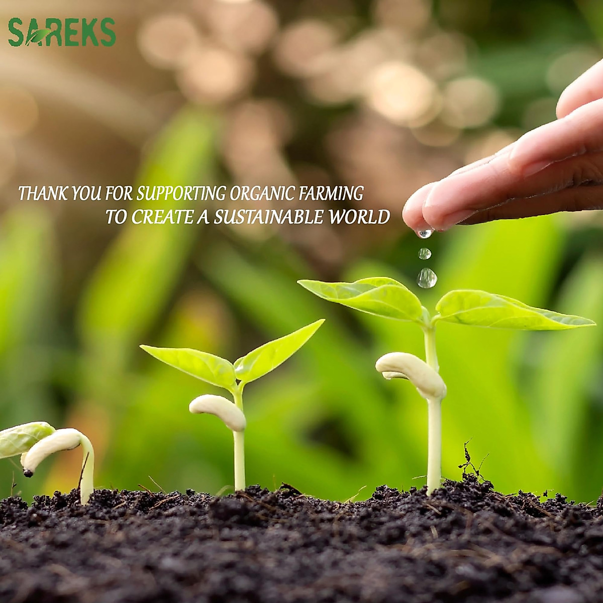 Bitter Apricot Kernels Organic Raw (10oz),0 USDA Organic Certified Seeds, NON-GMO, Product of Turkey, Gluten Free, Resealable Bag