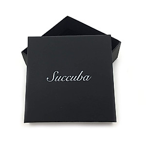 Succuba Padlock Necklace Chain Collar Choker with Two Keys and Box for Women, Men and Pet 24 Inches (D, 24)