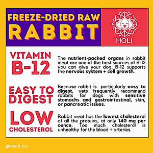 HOLI Freeze Dried Rabbit Treats for Dogs- All Natural Healthy Dog Treats, 100% Made in USA - Single Ingredient - Human Grade - Grain Free - Diabetic Friendly - 1.75oz