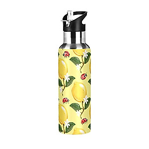 xigua Ladybug Water Bottle Double Walled Stainless Steel Leak Proof Thermo Flask for Sports Gym Cycling Outdoor,20 oz.