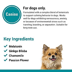 Vet Classics Anxiety & Stress Dog Supplement – Helps Reduce Dog Stress – Includes Botanicals for Calming Dog Behavior, Pet Nervousness – Melatonin, Chamomile, Ginkgo Biloba – Soft Chews 120 Ct.
