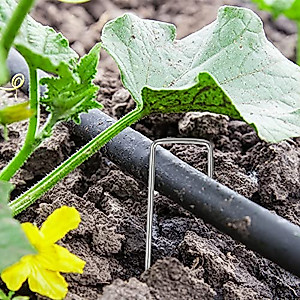 Whonline 300pcs Landscape Staples, 6 Inch 11 Gauge, Galvanized Garden Stakes, Landscape Pins, Ground Stakes for Yard Sod Anchoring Landscape Fabric Irrigation Tubing