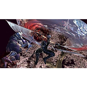 Ninja Gaiden II (Renewed)