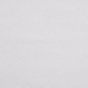 Off-White Colored Paper Placemat with Scalloped Edge - 1000/Case Size: 10" x 14" by Guffman