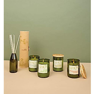 Paddywax Eco Collection Scented Soy Wax Jar Candle, 8-Ounce, Verbena & Lemongrass