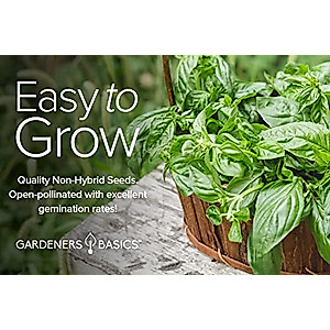 Italian Herb Seeds for Planting 5 Variety Herbs Seed Packets Including Italian Flat Leaf Parsley, Sage, Oregano, Thyme, Basil - Great for Kitchen Herb Garden, Hydroponics Heirloom - Gardners Basics
