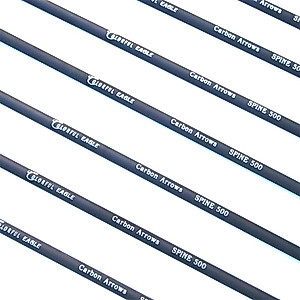 COLORFUL EAGLE 12pcs/lot Carbon Arrow Outdoor Hunting Bows Arrows for Recurve Compound Bow Archery Hunting Target Parctice Accessories (30)