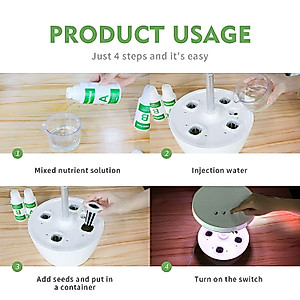 EVERECOO Hydroponics Growing System, 4 Pods Indoor Herb Gardening System with LED Grow Lights, Automatic Timer and Pump, Hydroponic Plant Germination Kits for Vegetable/Lettuce