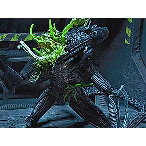 NECA - Aliens 7" scale action figure - Series 12 Xenomorph Warrior Blue (Battle Damaged)