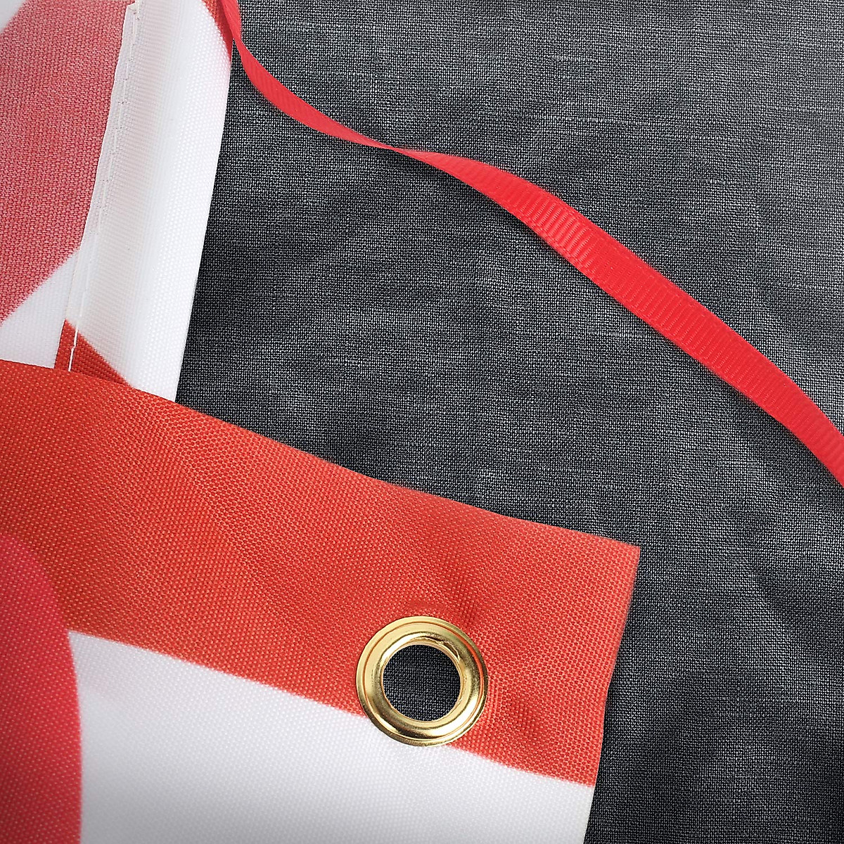 PAKBOOM Welcome Carnival Circus Yard Sign Door Banner Carnival Theme Birthday Party Decorations Supplies for Kids Adults Family